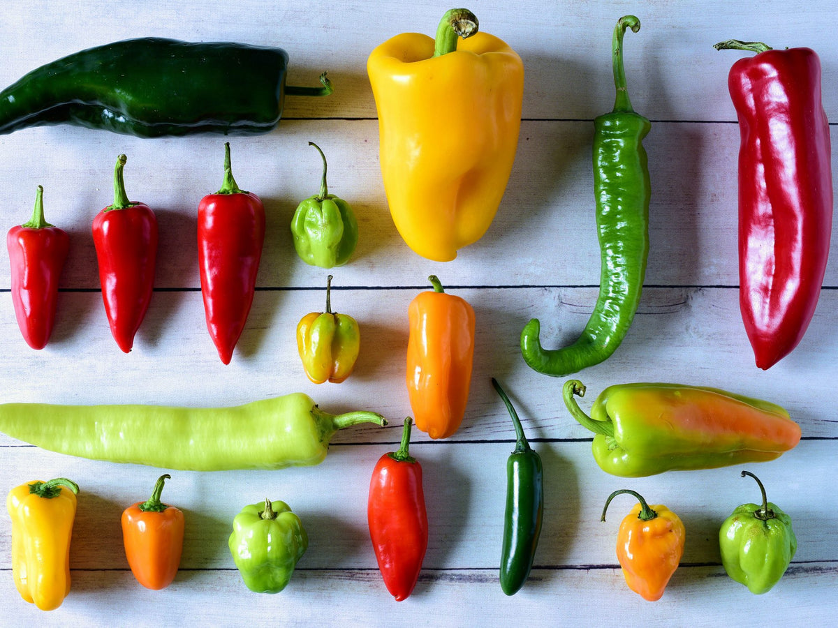 10 Surprising Health Benefits of Eating Chilli Peppers-GARDENING.co.za
