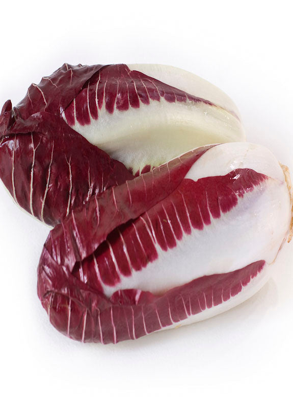 Radicchio Rossa Treviso Red Seeds – GARDENING.co.za