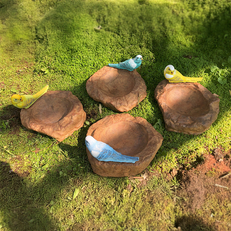 Budgie Bowls – GARDENING.co.za