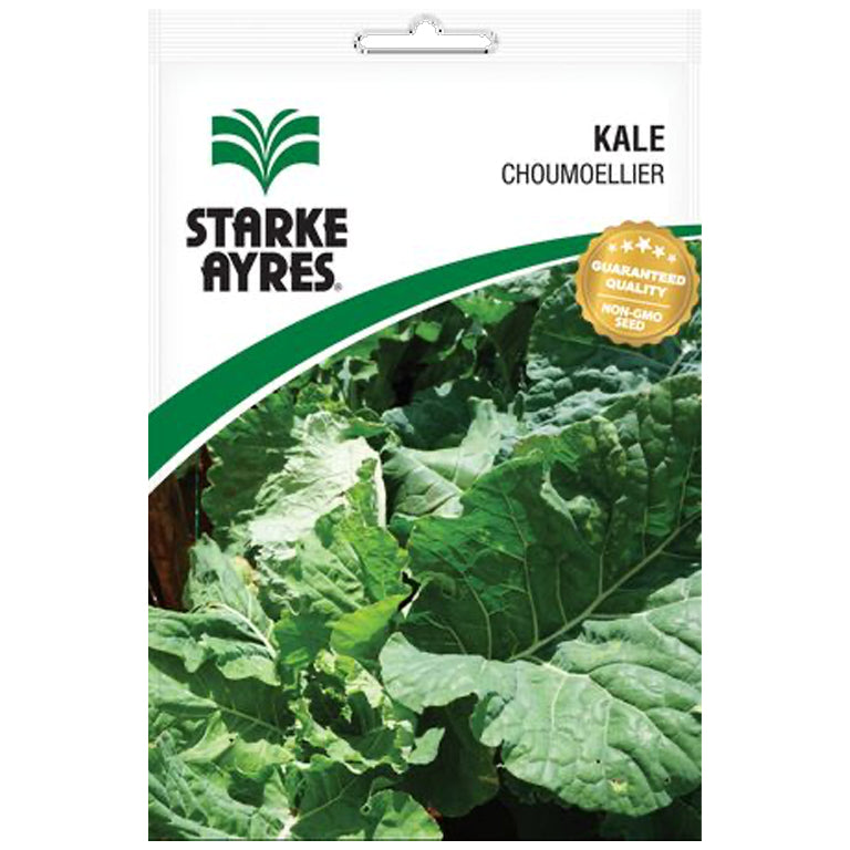 Kale Choumoellier Seeds – GARDENING.co.za