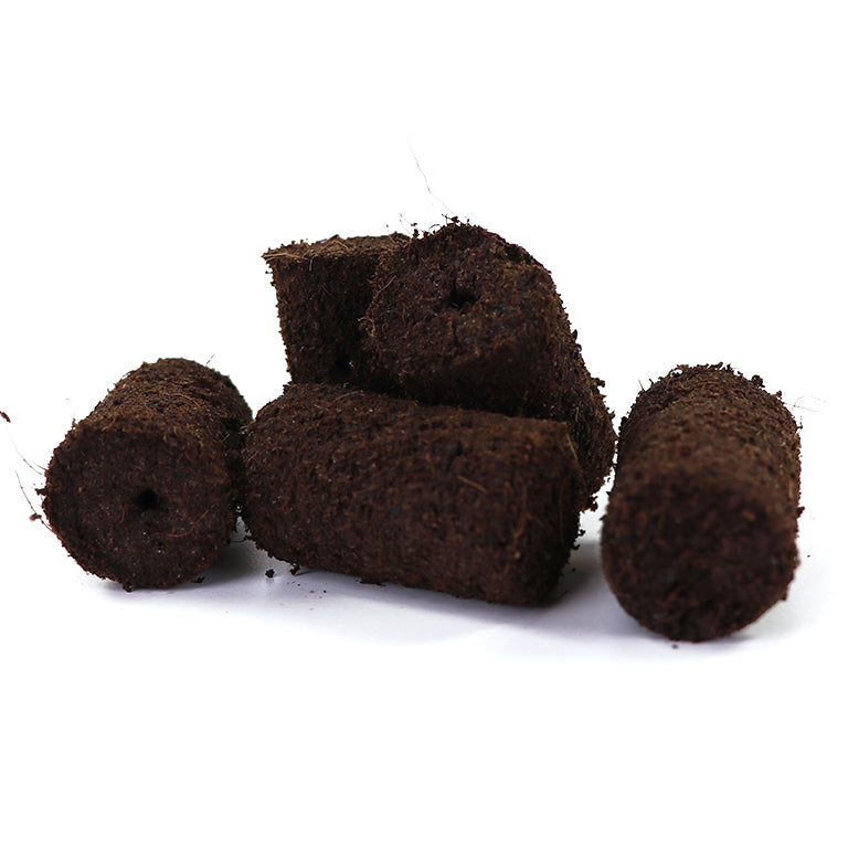 Jiffy Preforma Plug 30mm x 50mm – GARDENING.co.za