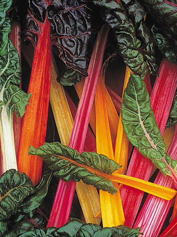 Spinach Swiss Chard Mix Seeds – GARDENING.co.za