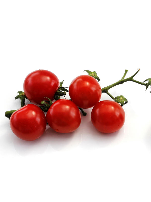 Tomato Principe Borghese Seeds – GARDENING.co.za