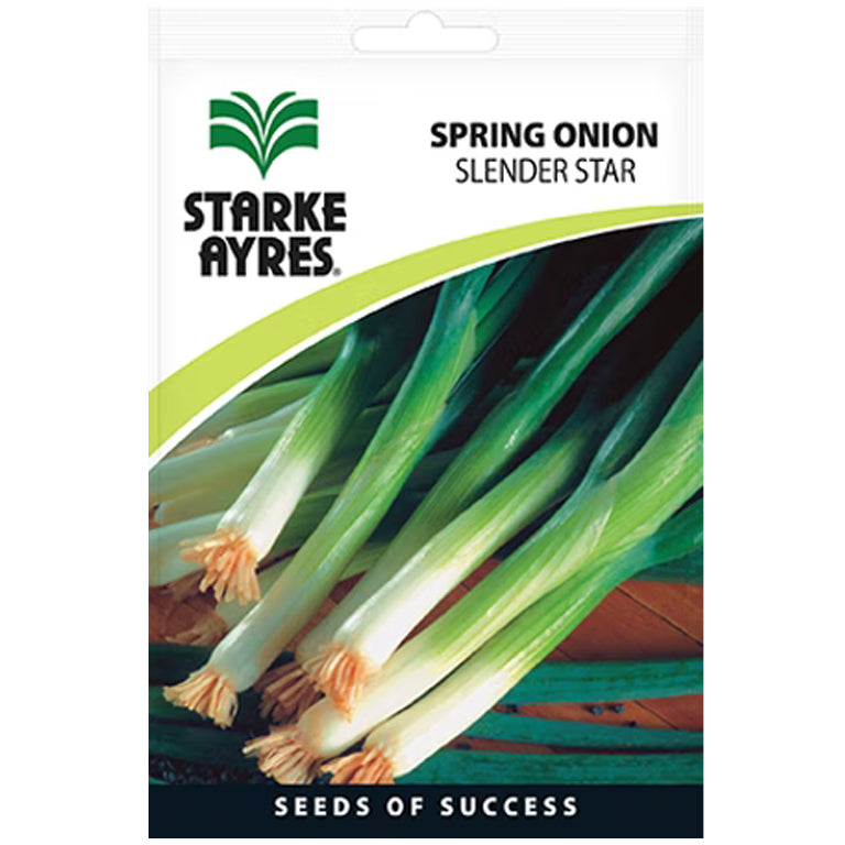 Spring Onion Slender Star Seeds Starke Ayres – GARDENING.co.za